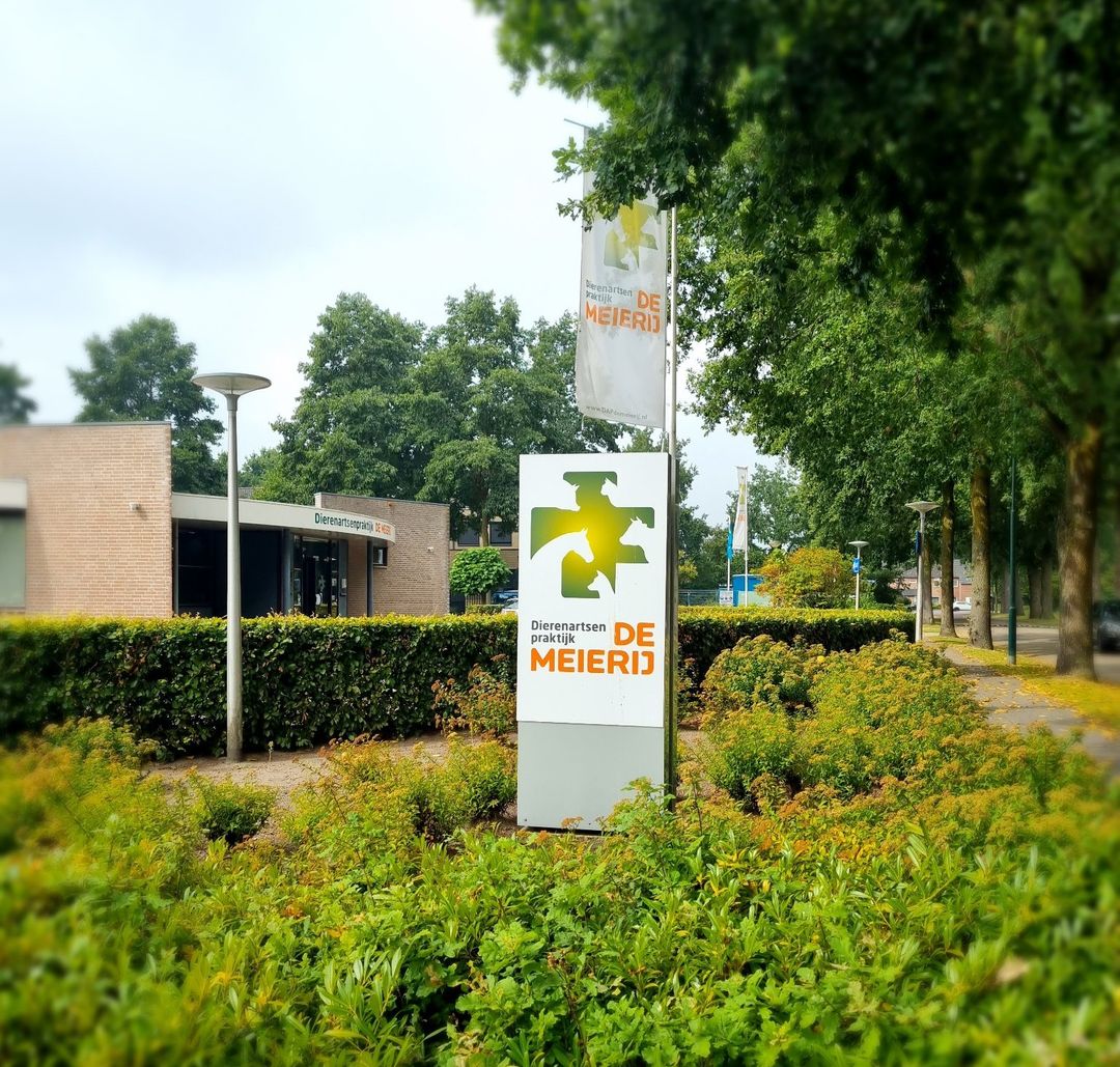 Paravet Kay – Uw specialist in het bieden van paraveterinaire zorg.