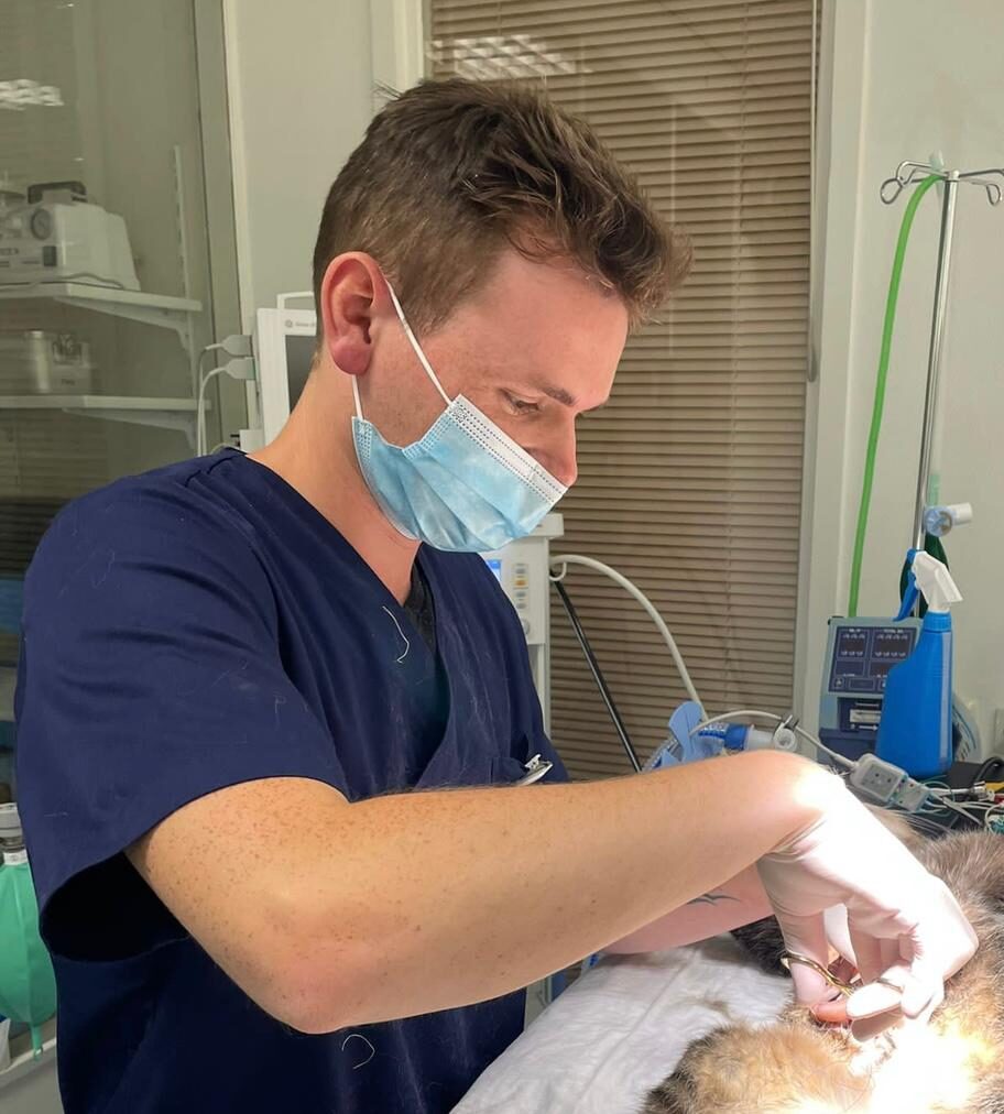 Paravet Kay – Uw specialist in het bieden van paraveterinaire zorg.