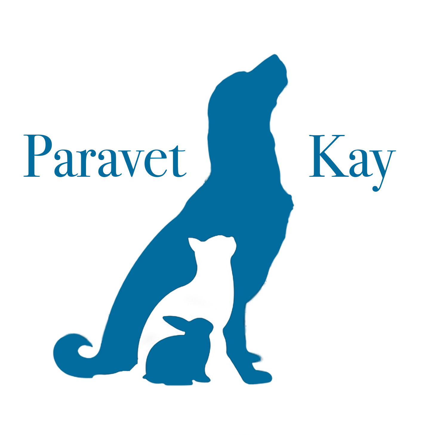 Home - Paravet Kay